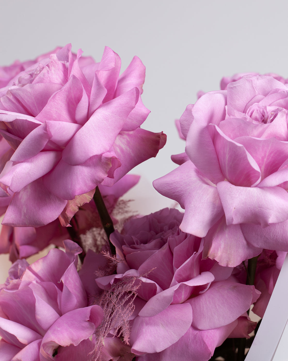 Florarie Sibiu | A COTE - Flori, cadouri, plante, evenimente